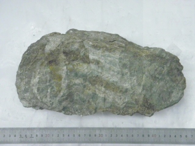 石灰岩・スカルン鉱物 (Limestone・Zoned skarn)｜いわきデジタルミュージアム