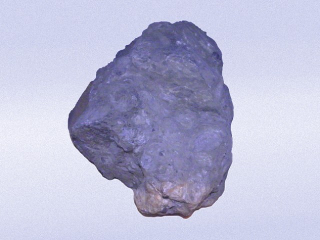 石灰礫岩 (Calcirudite)｜いわきデジタルミュージアム