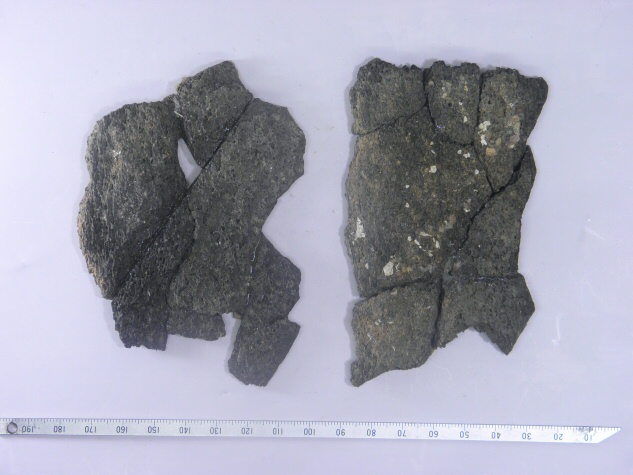 Archichlamydeae fam., gen. et sp. indet.｜いわきデジタルミュージアム