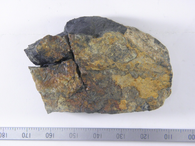 Orthite｜いわきデジタルミュージアム